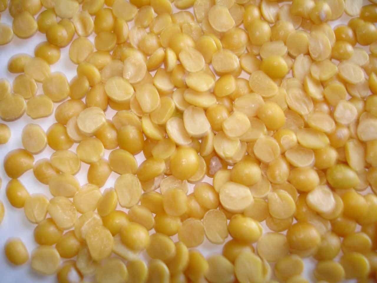 Yellow Daal (Lentils) | One Life to Eat