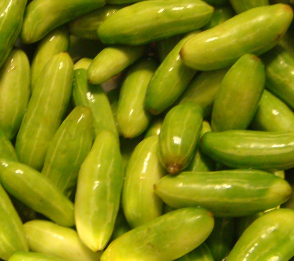 Tindora Bateta – Tropical vegetable with potato | One Life to Eat